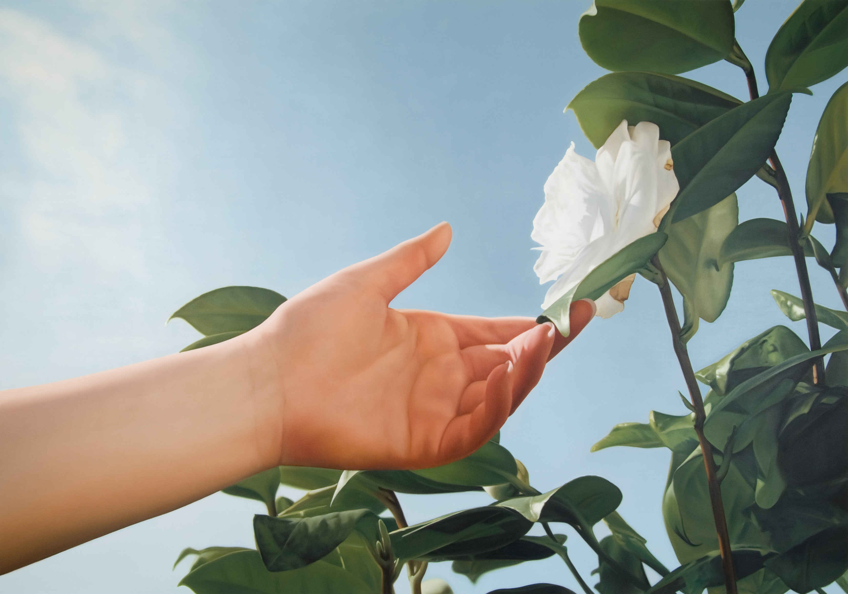 Mustafa Hulusi | Bidoun